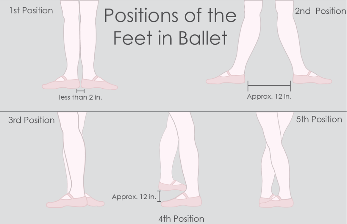 Ballet Terms For Beginners Dance Classics Ballet Terms For Beginners Dance Classics